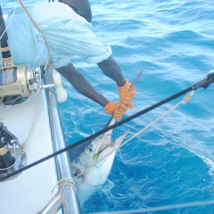 Denis Private Island | Seychelles Game Fishing | Indian Ocean Drop Off ...